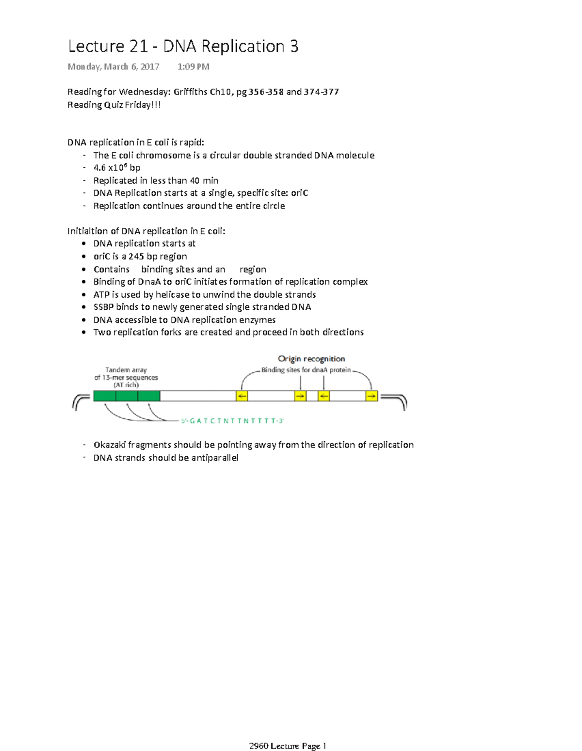 Lecture 21 - DNA Replication 3 - Lecture 21 - DNA Replication 3 Monday ...