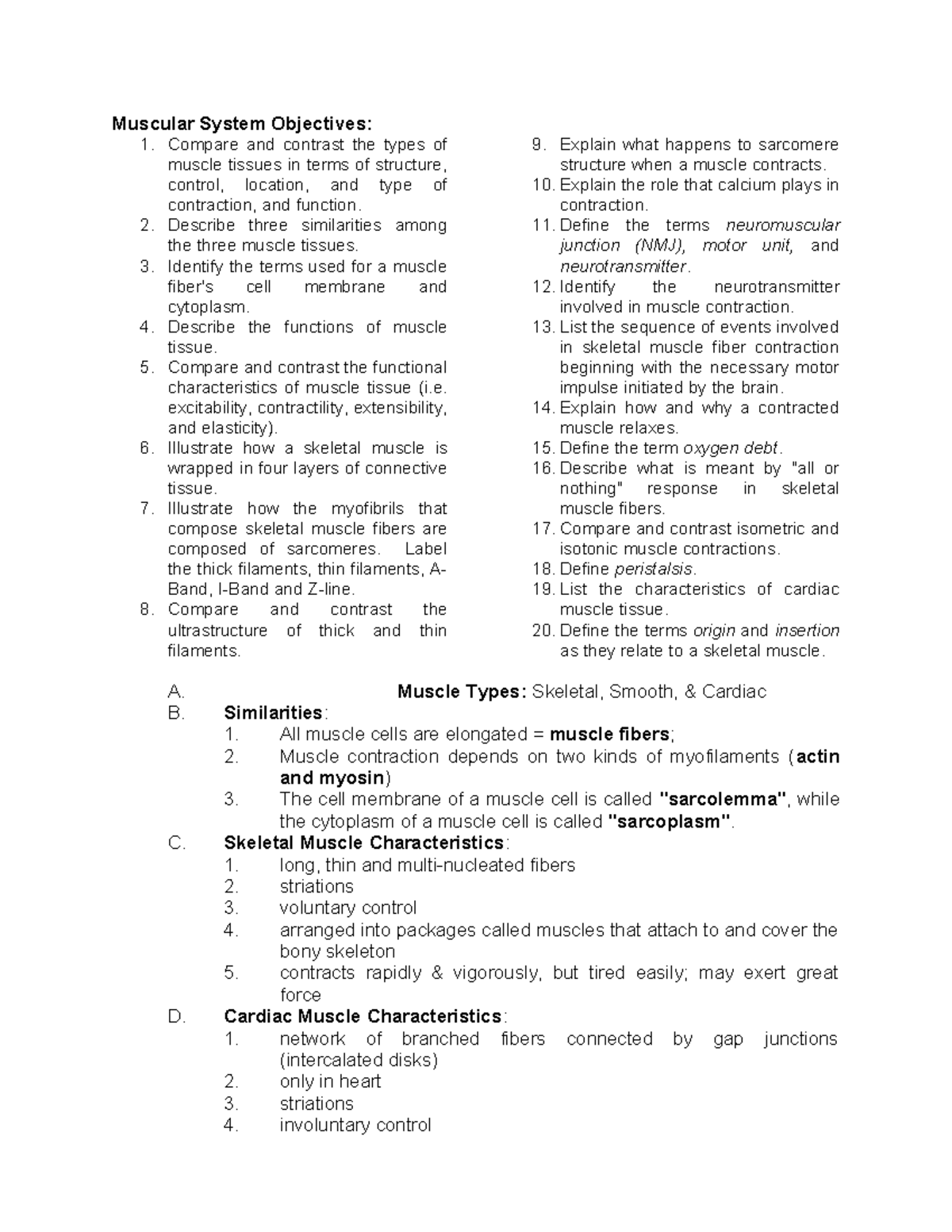 Muscular System notes - Muscular System Objectives: 1. Compare and ...