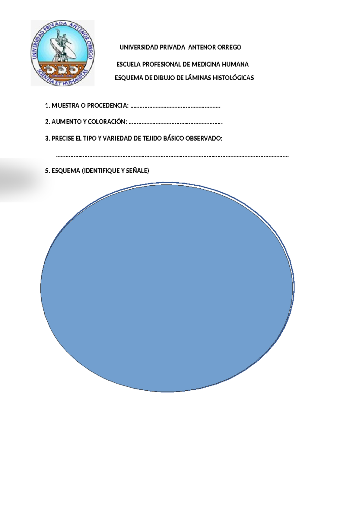 Formato Esquema PARA Dibujo (1) imprimir - UNIVERSIDAD PRIVADA ANTENOR ...