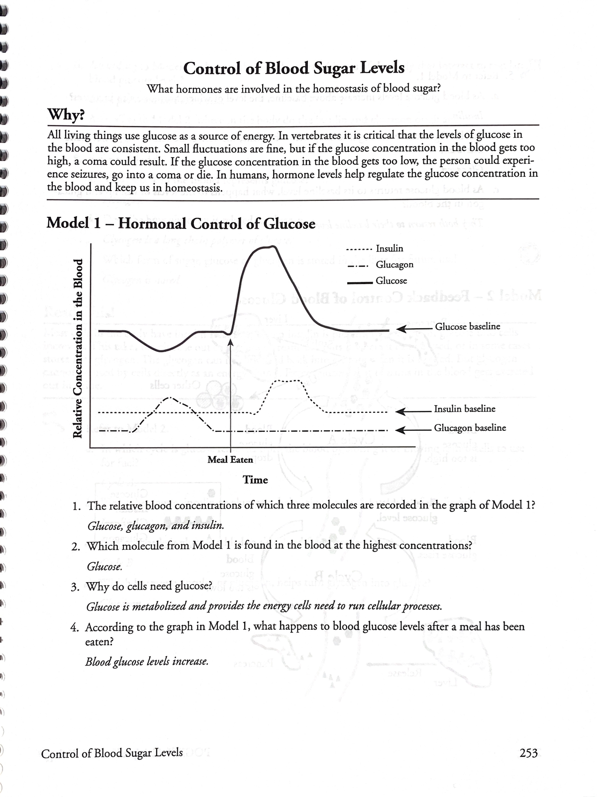 28 Key Control of Blood Sugar Levels - BIO 115 - Studocu