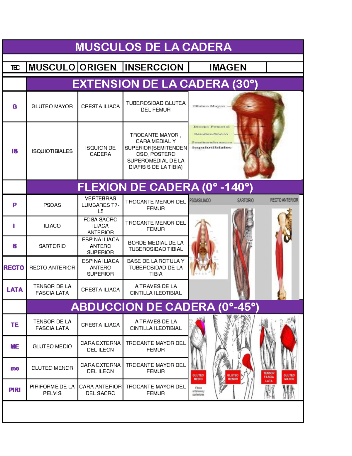 ANT. M - Músculos de la cadera - TEC MUSCULO ORIGEN INSERCCION G GLUTEO ...