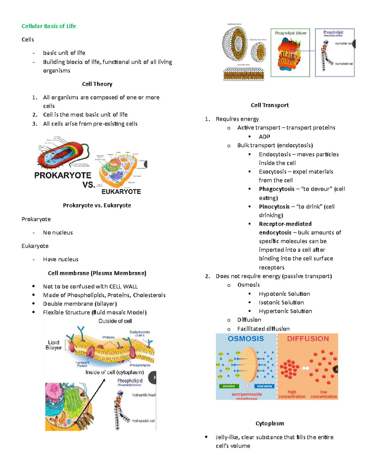 Cellular Basis of Life - Cellular Basis of Life Cells basic unit of ...