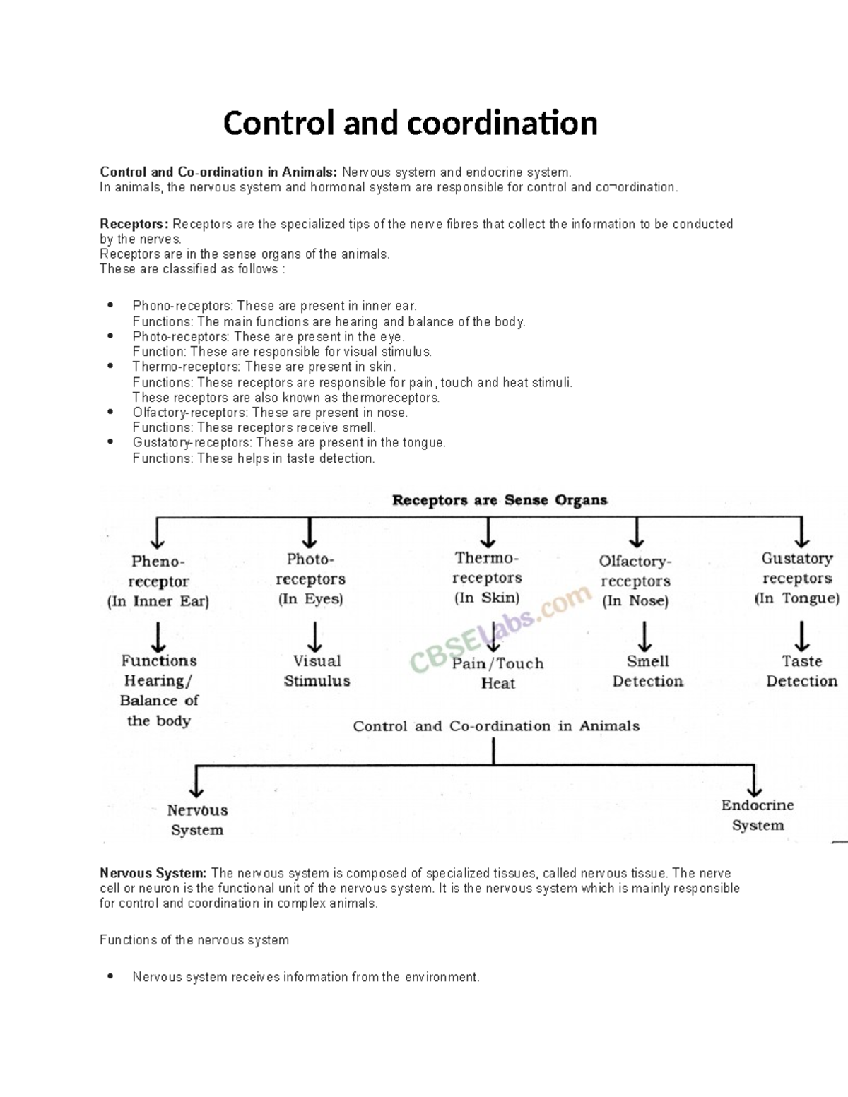 Control and coordination biology notes - Control and coordination ...