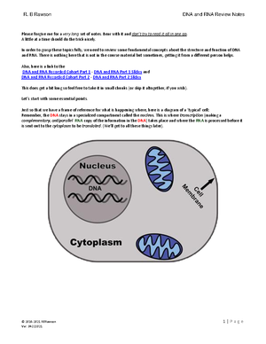 Go React Screenshots - D024 - Studocu