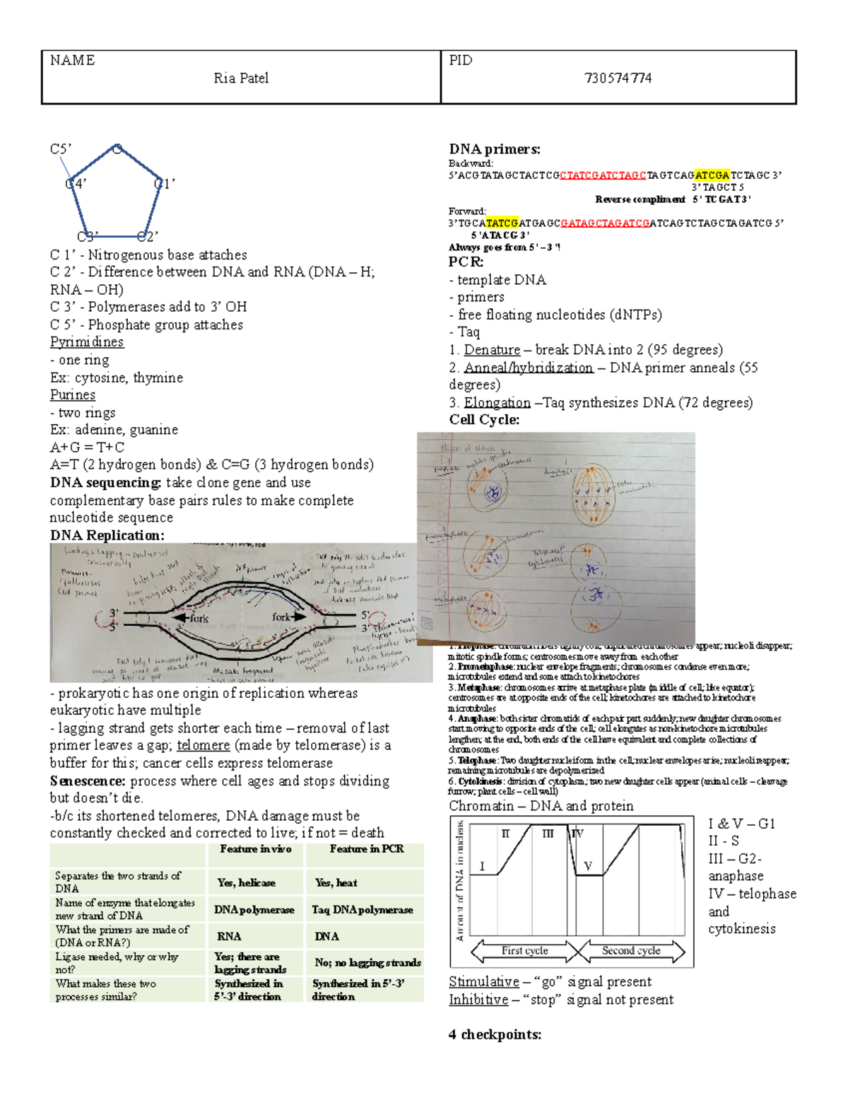 BIOL 103 exam 2 note sheet - NAME Ria Patel PID 730574774 C5’ O C4’ C1 ...