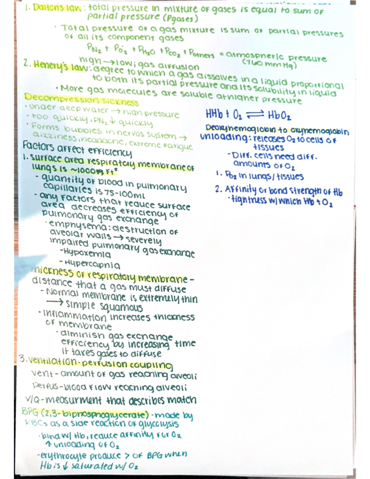 Laws and efficiency - BIOL 2260 - Studocu