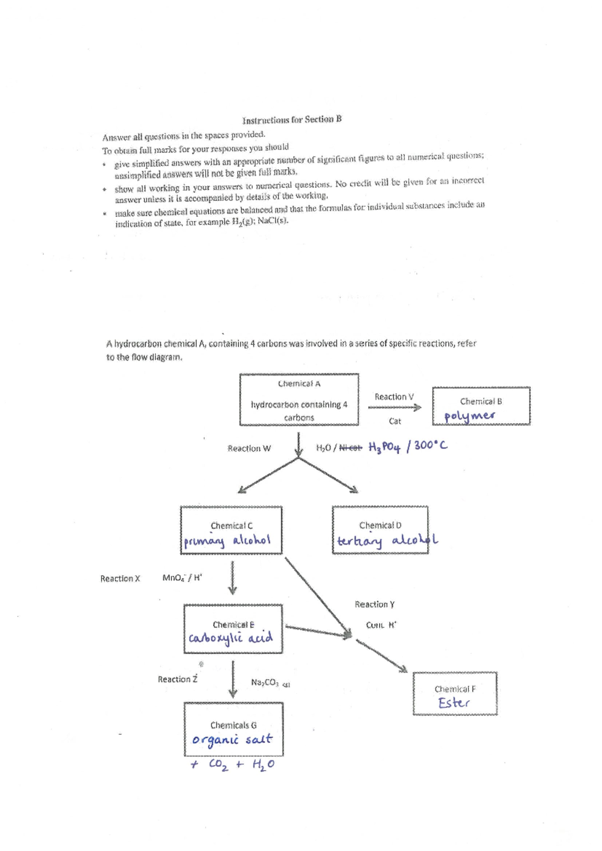 Reaction Pathways and Analytical Techniques Practice SAC Answers ...