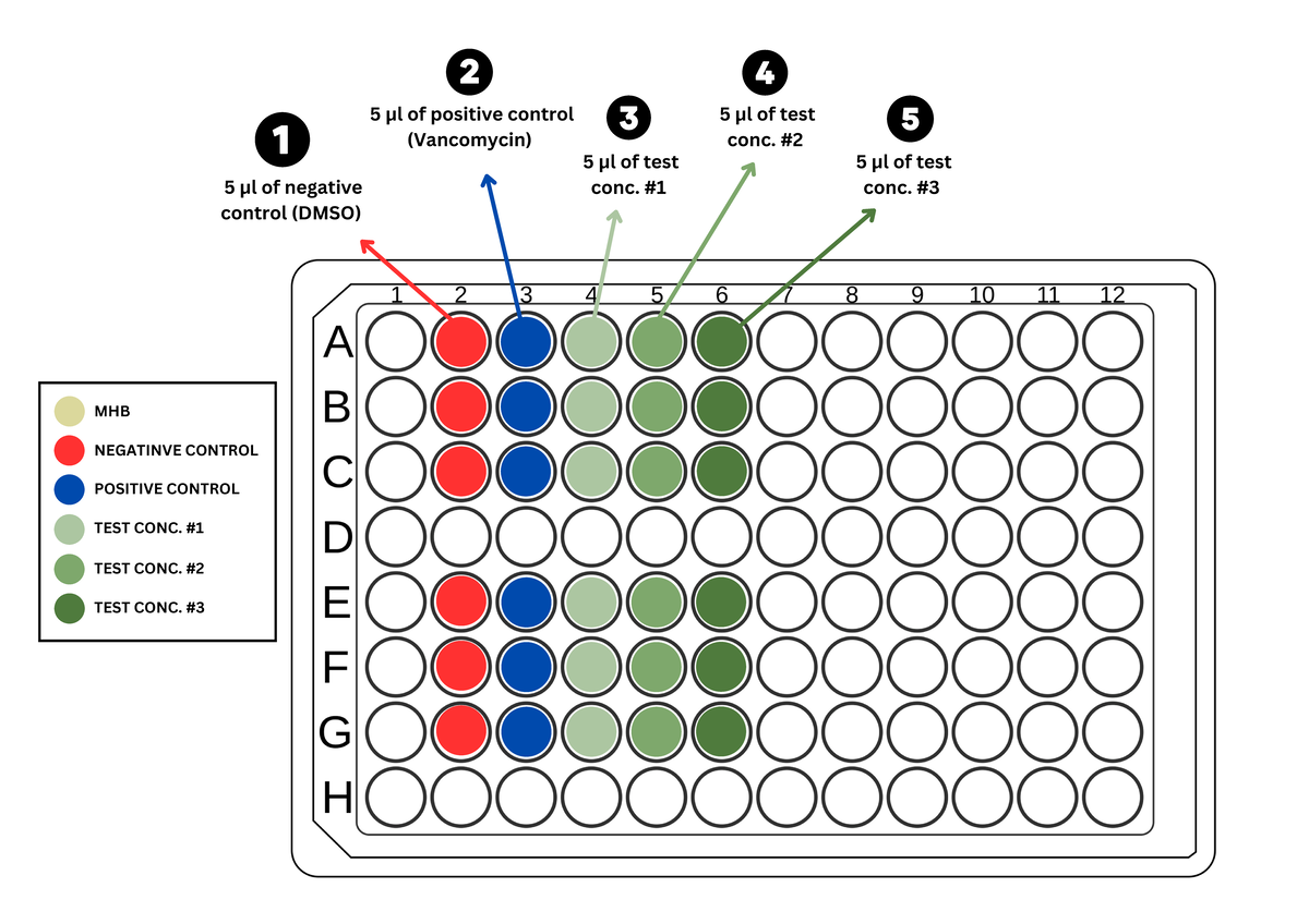 MSA summary - MHB NEGATINVE CONTROL POSITIVE CONTROL TEST CONC. TEST ...