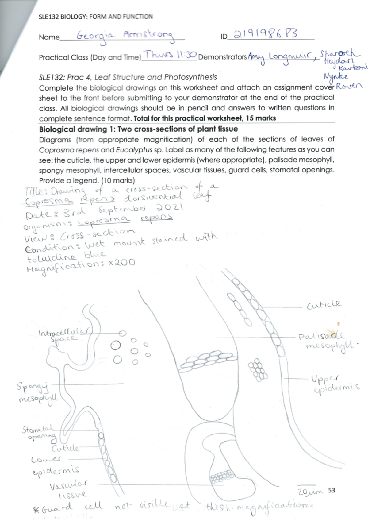 SLE132 Biology Form and Function Practical 4 Worksheet - SLE132 - Studocu