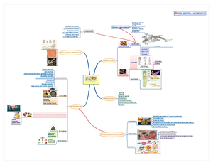 Cuestionario 5 Método de Harada-Mori Parasitologia 2 - BENEMÉRITA ...