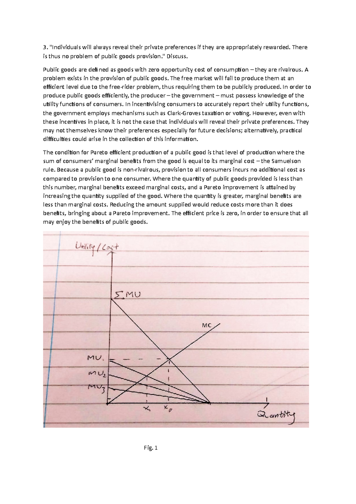 Microeconomics Essay - 2.Public goods - 3. "Individuals will ...