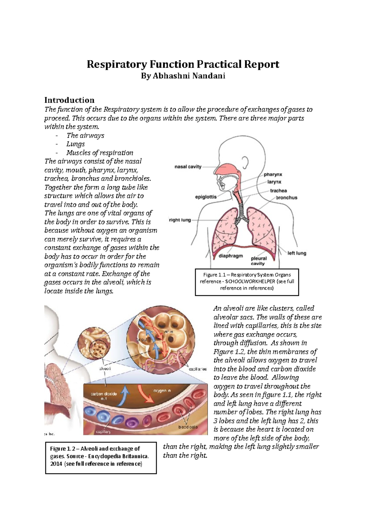 Respiratory system prac report - Respiratory Function Practical Report ...