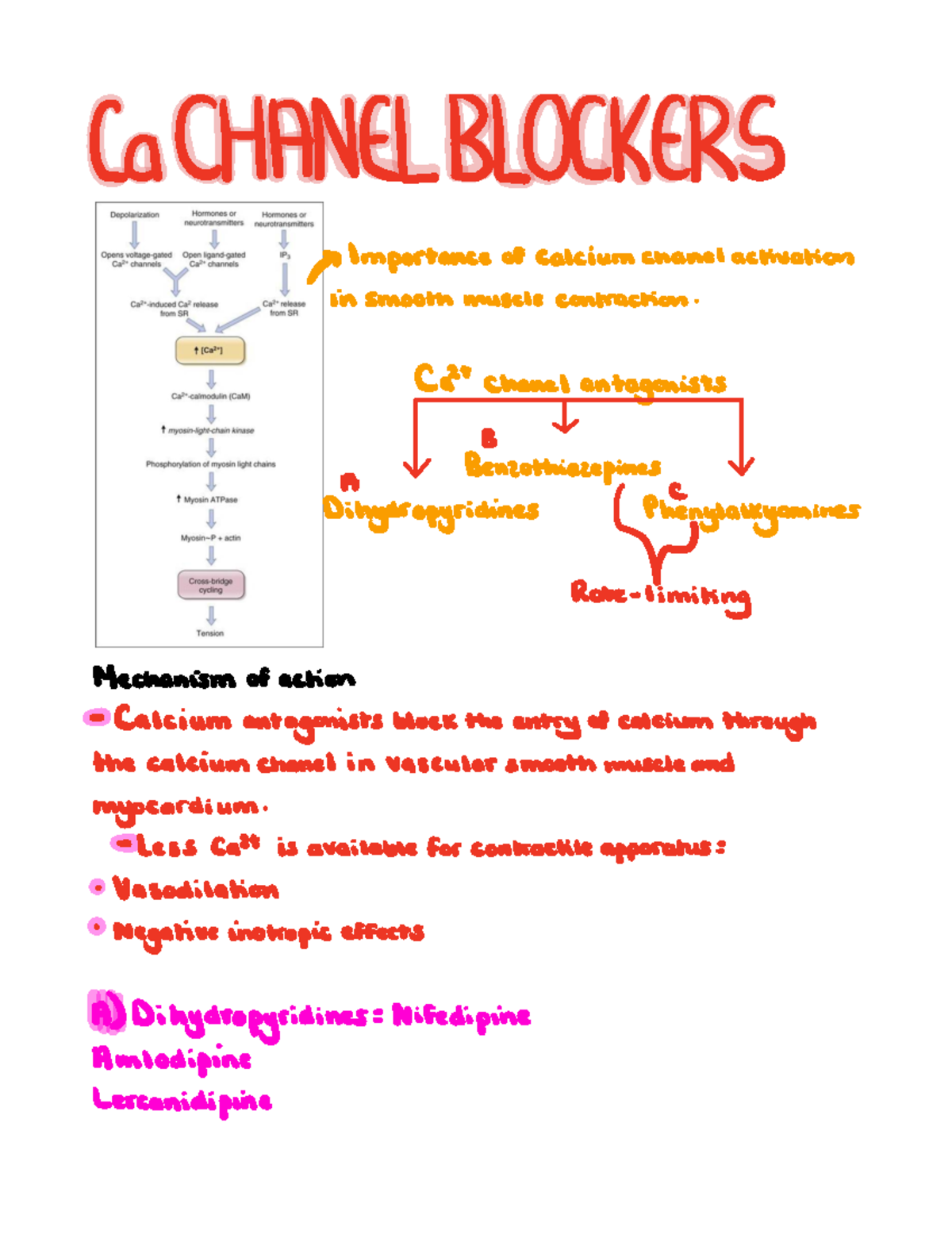 Calcium channel blockers and nitrates - Ca CHANEL BLOCKERS 1 Importance ...