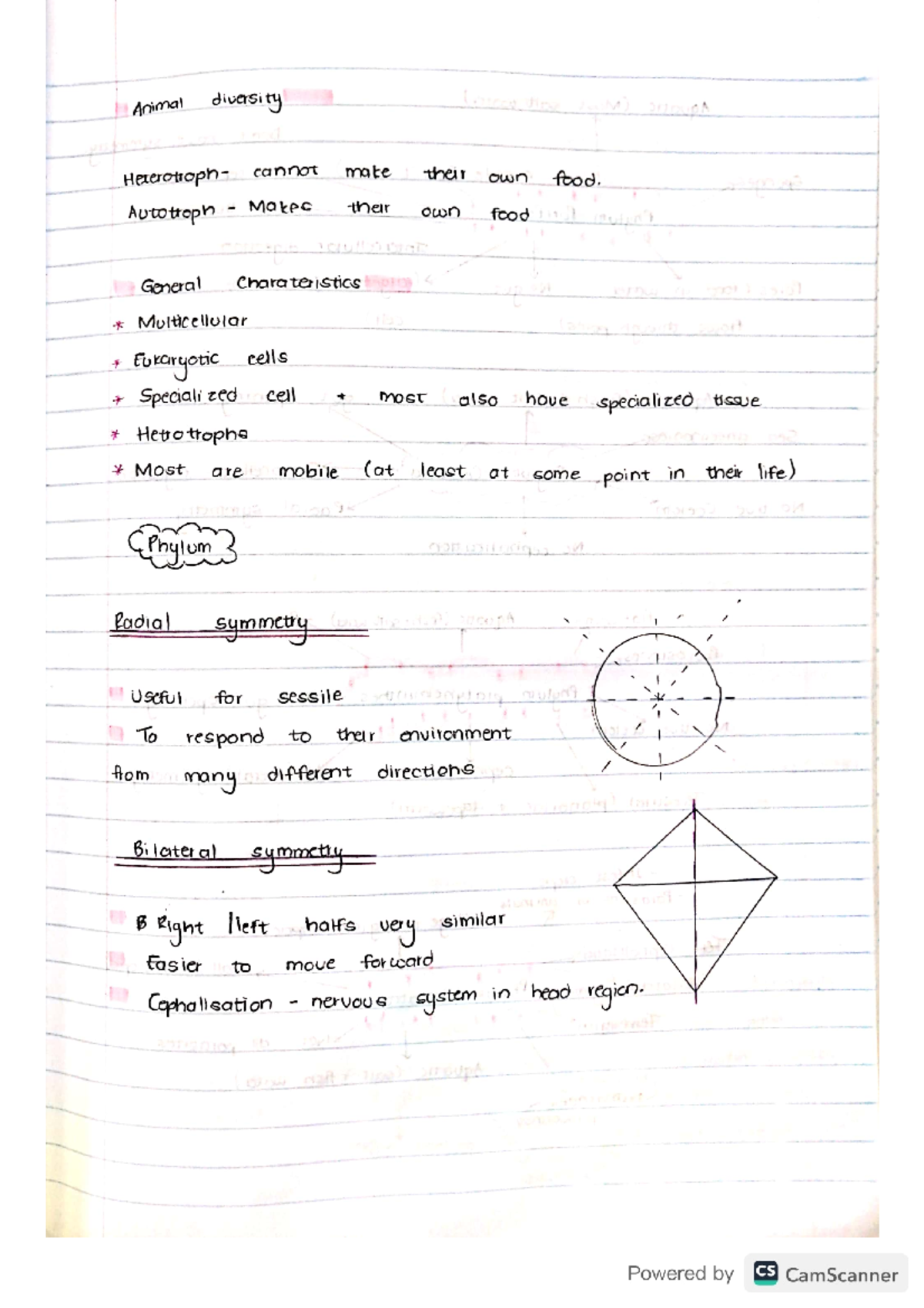 Animal diversity - Notes on Phylum characteristics - Studocu
