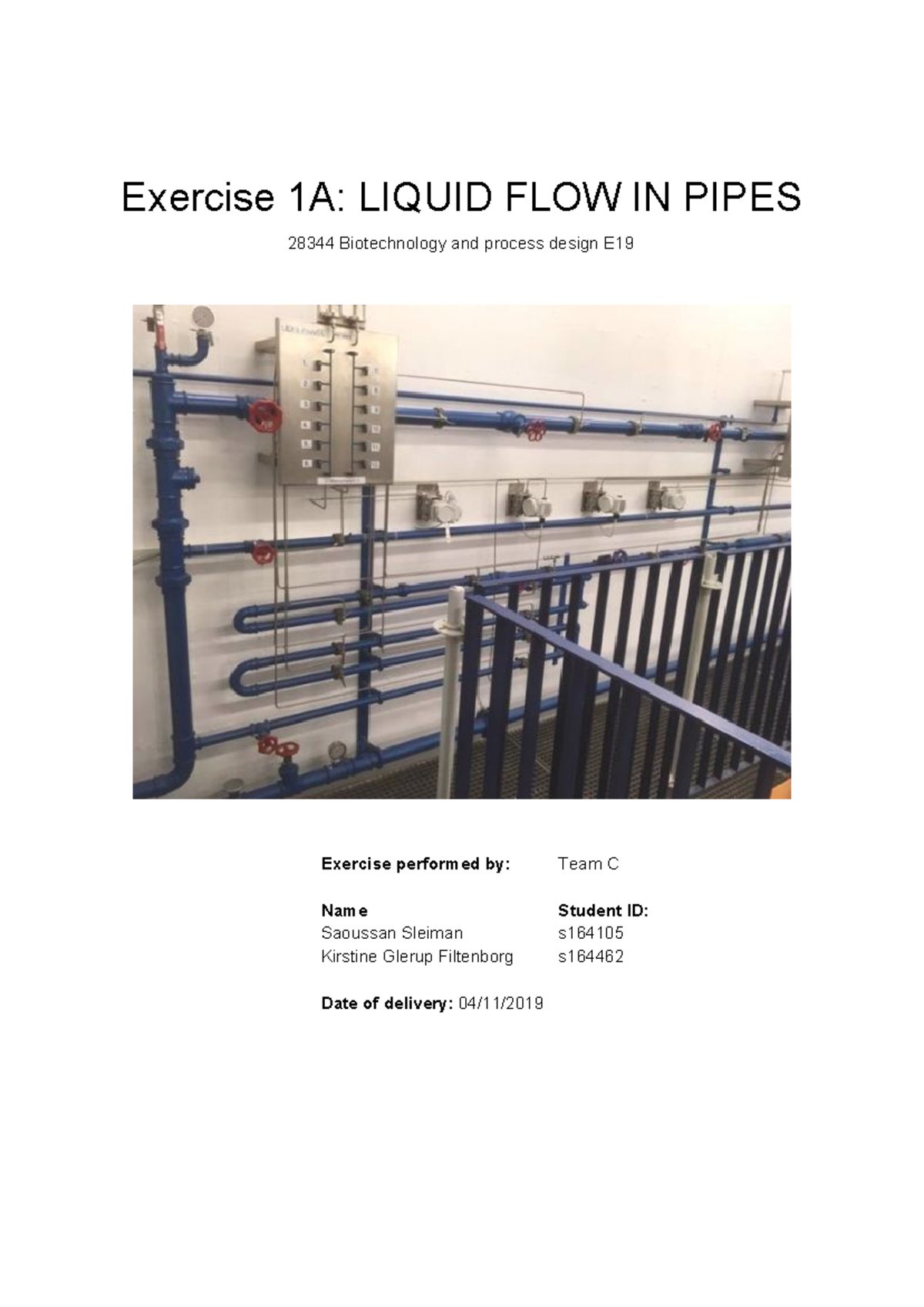 Exercise 1A Liquid FLOW IN Pipes - Exercise 1A: LIQUID FLOW IN PIPES ...