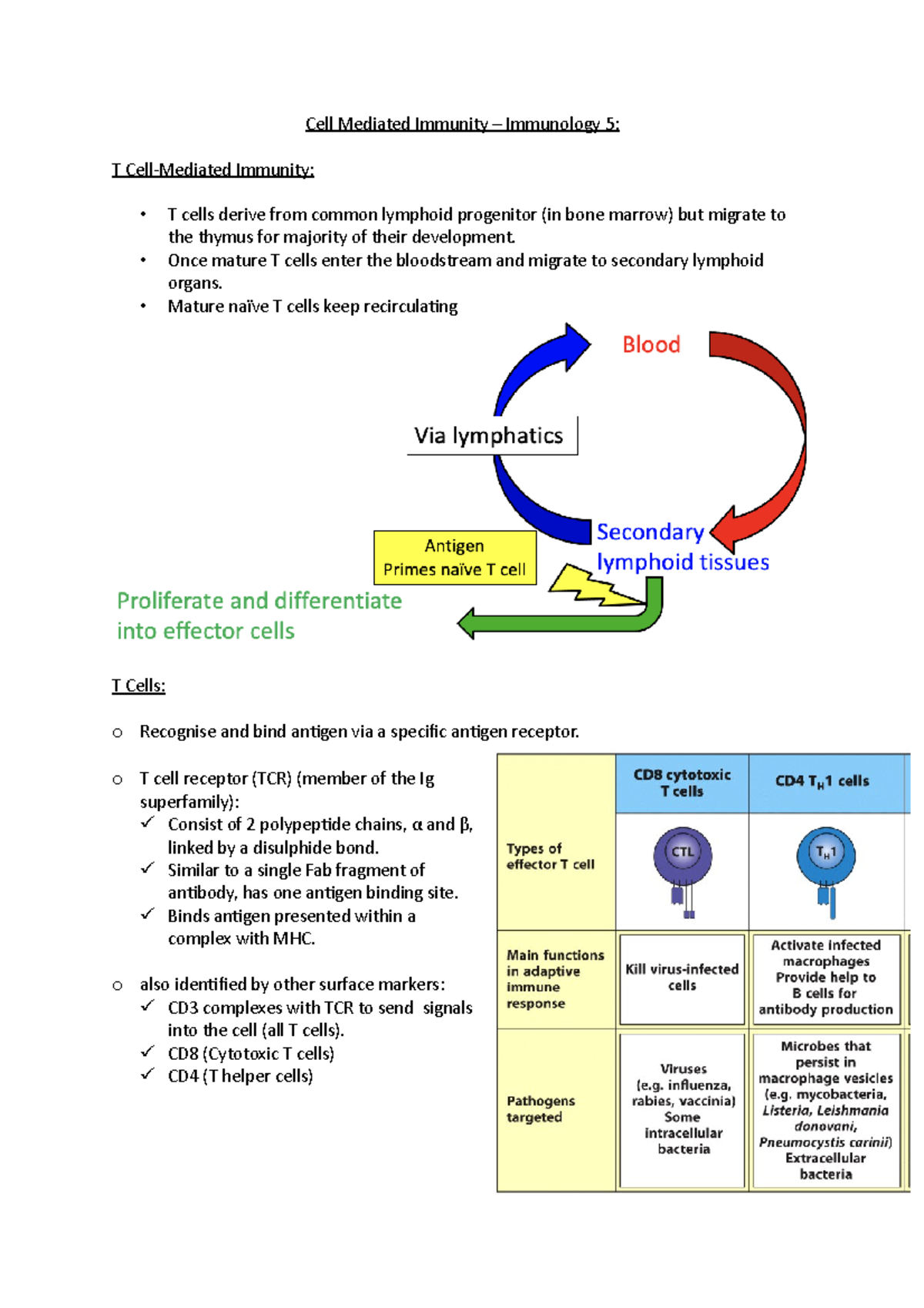 Immunology 5 - Cell Mediated Immunity - Cell Mediated Immunity ...