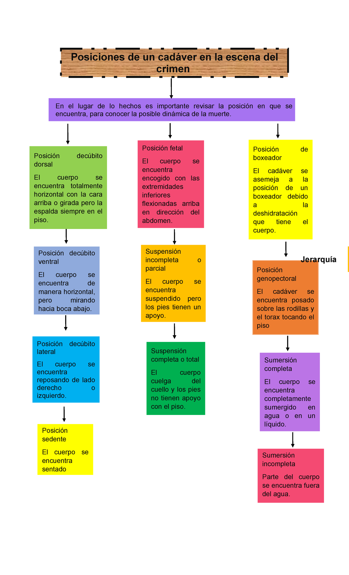 Mapa conceptual - Posiciones de un cadáver en la escena del crimen En ...