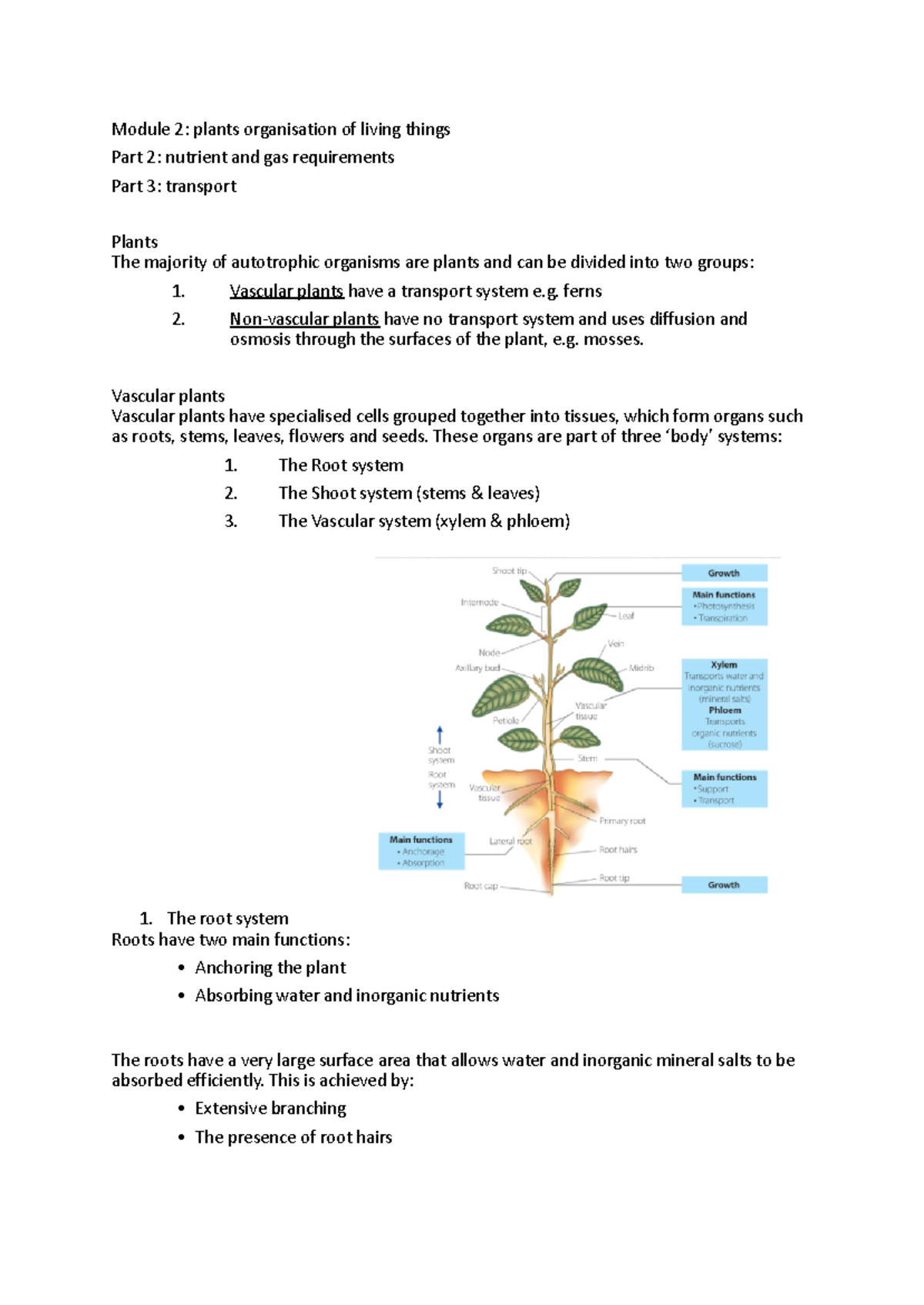 Module 2 plants organisation of living things - Vascular plants have a ...