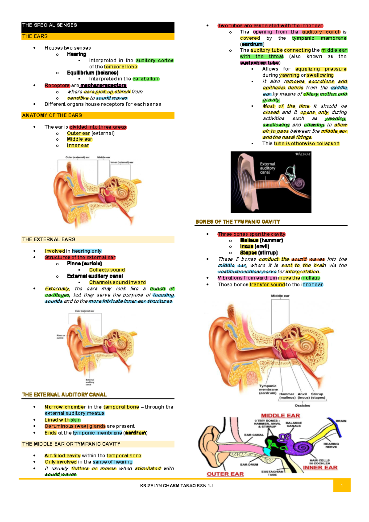 6. Special Senses ( Hearing, Balance, Smell, Taste) - THE SPECIAL ...