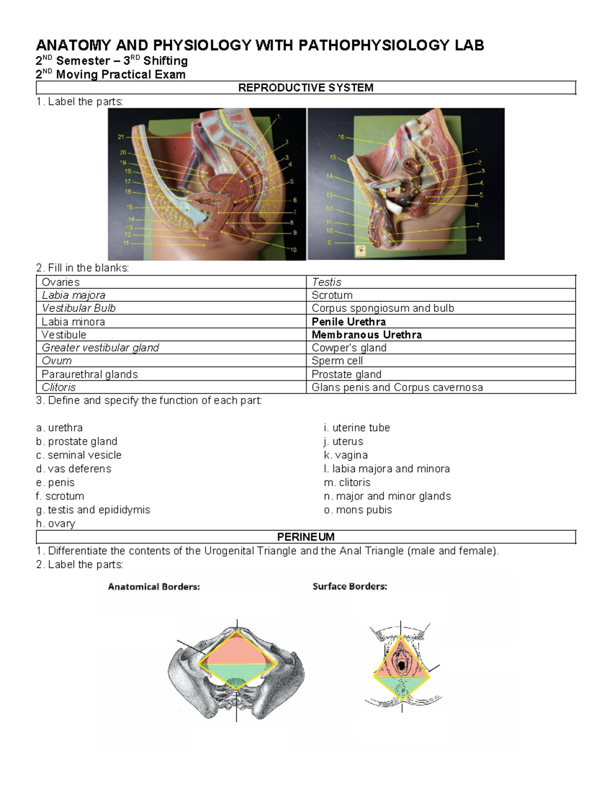 Pracs 2 reviewer - 2 ND Semester – 3RD Shifting 2 ND Moving Practical ...