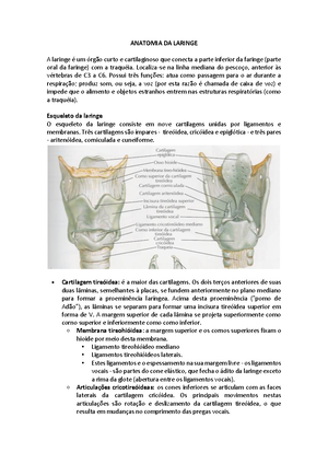 Anatomia DA Nasofaringe - Warning: TT: undefined function: 32 ANATOMIA ...