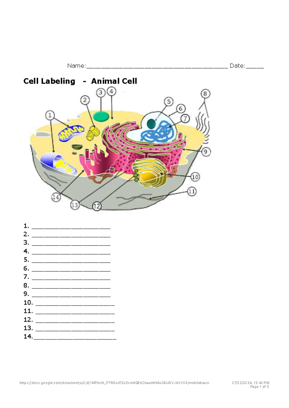 Cell Labeling - cell - Name ...
