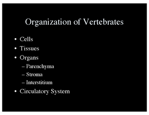 Depositsand lecturs - Tissue Deposits: Mineralization dystrophic ...