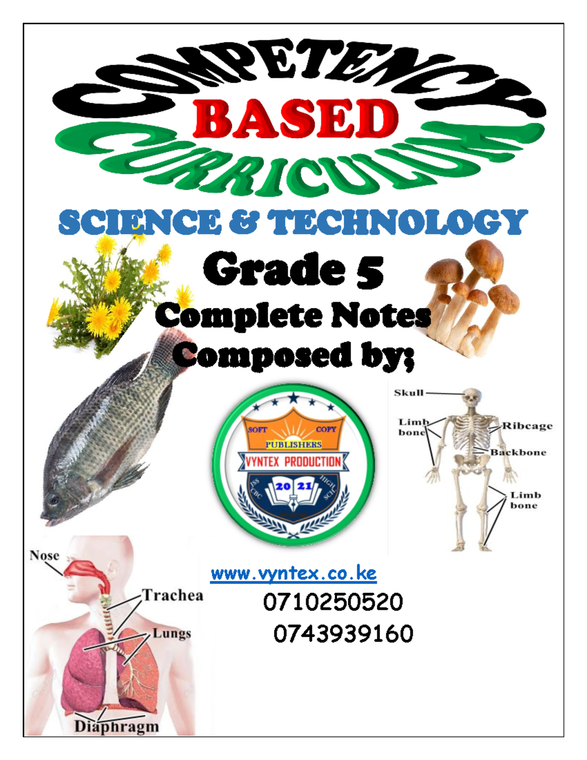 Grade 5 Science & Technology notes - SCIENCE & TECHNOLOGY Grade 5 ...