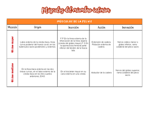Infografía Hepatitis D - Virus de ARN circular monocatenario ...