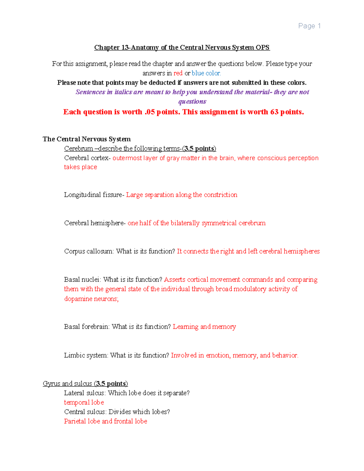 BIO 201 Chapter 13 Central Nervous System assignment OPS - Chapter 13 ...