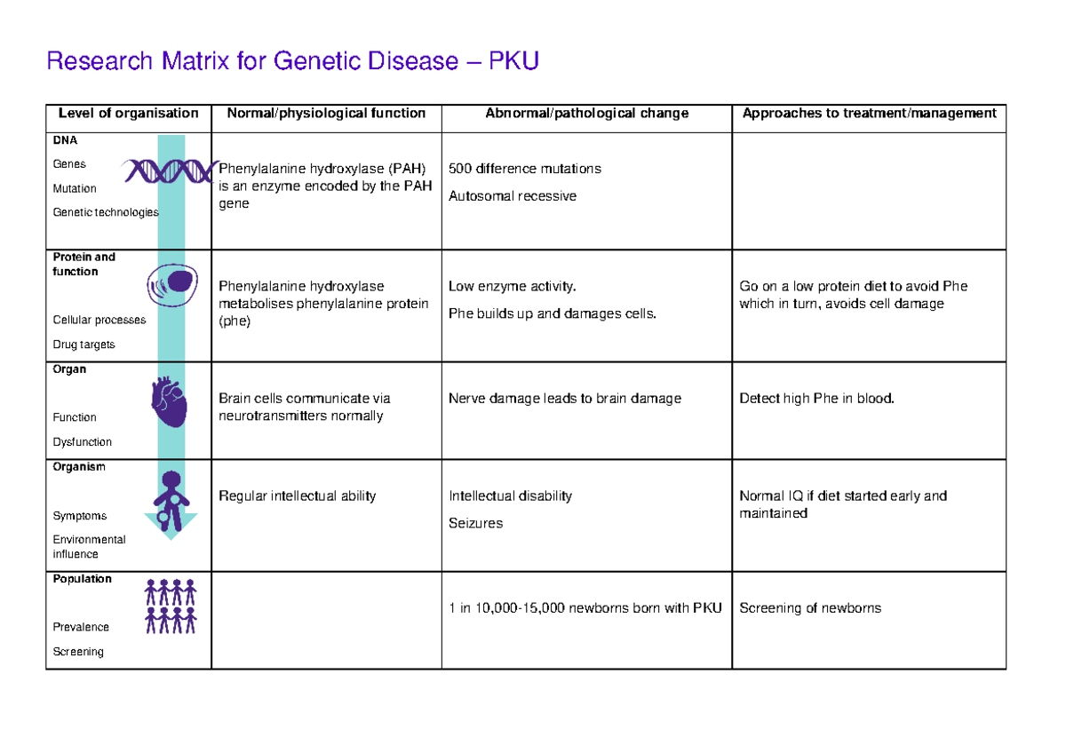Lesson 3b. research-matrix-PKU - Research Matrix for Genetic Disease ...