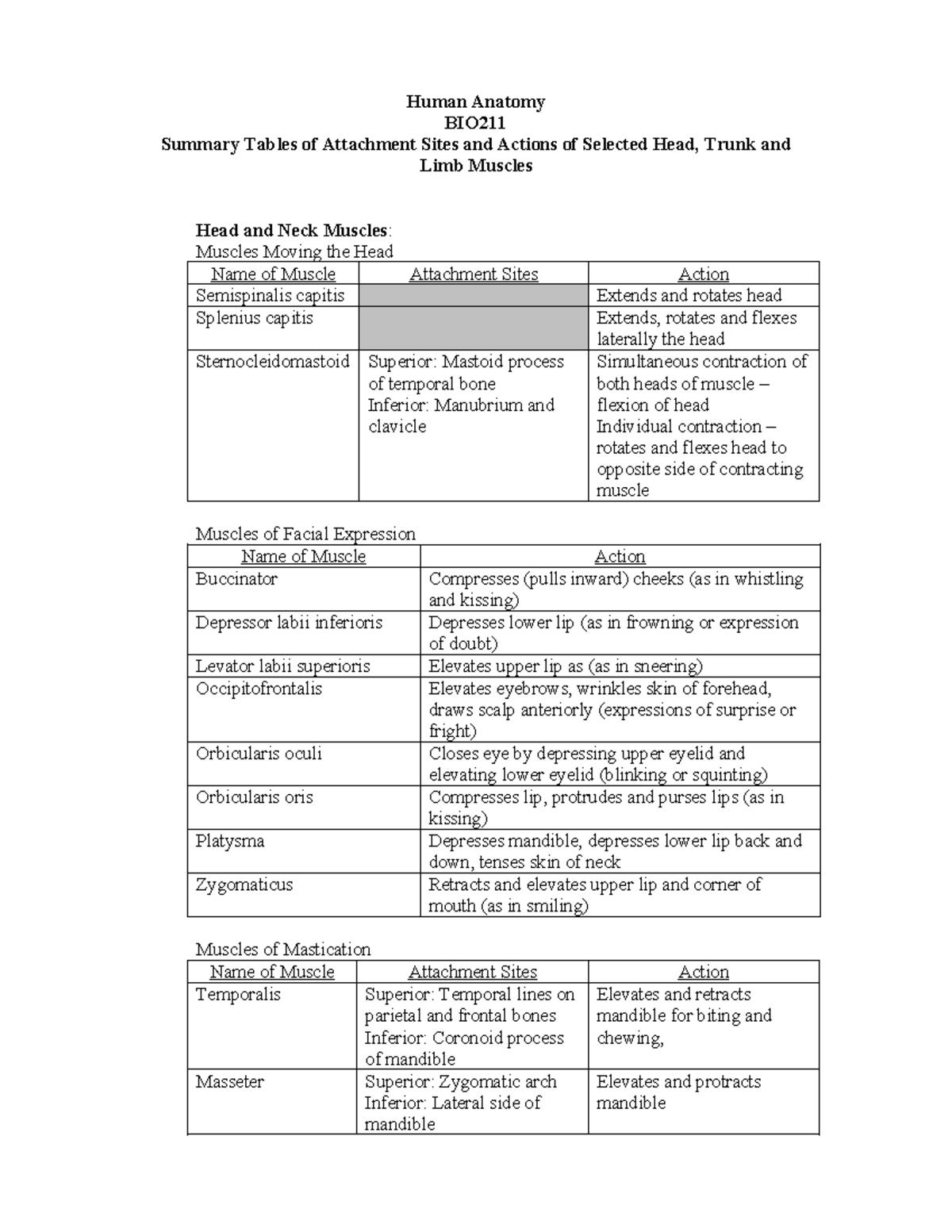 Muscle table - Human Anatomy BIO Summary Tables of Attachment Sites and ...