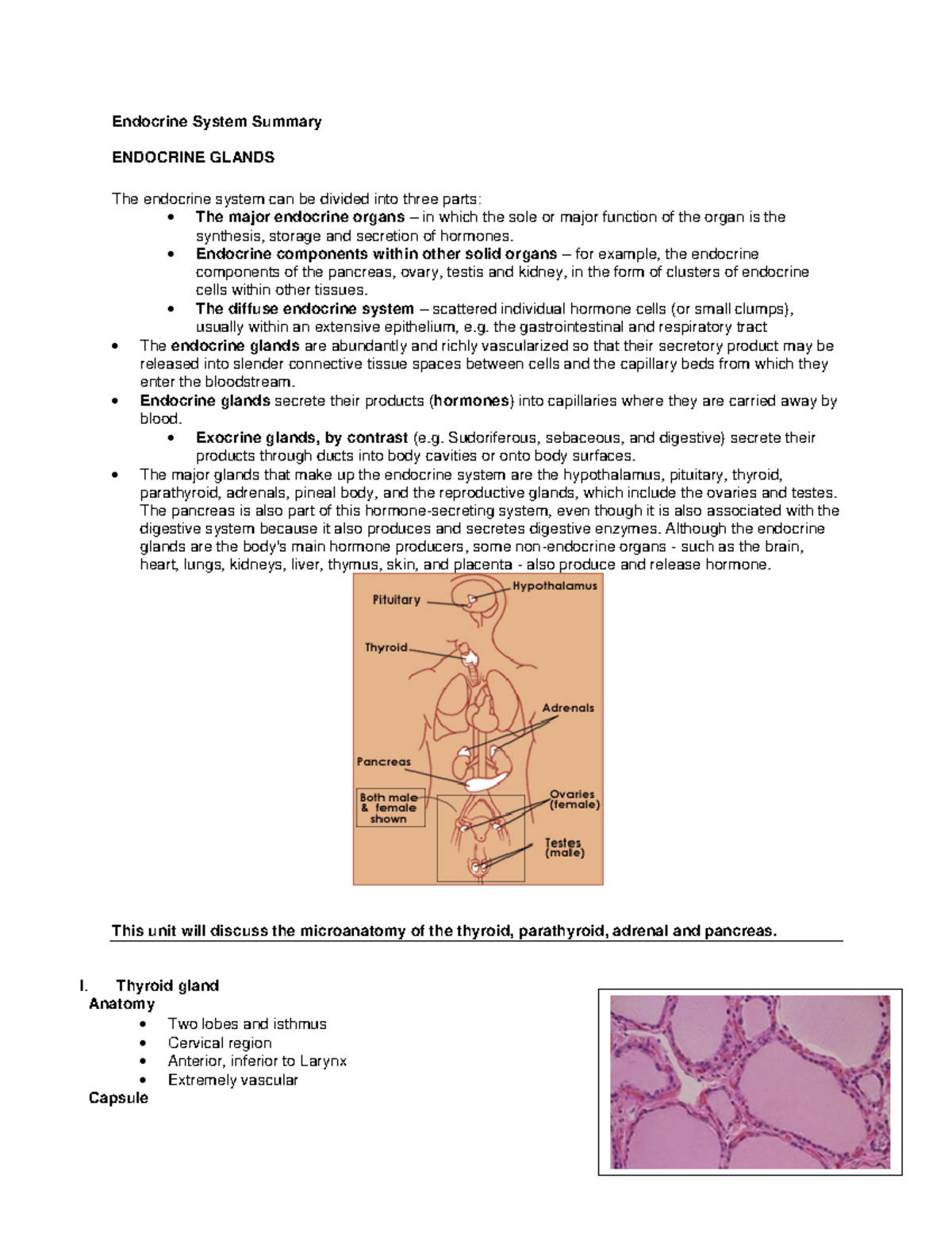 Endocrine System Summary - Endocrine System Summary ENDOCRINE GLANDS ...