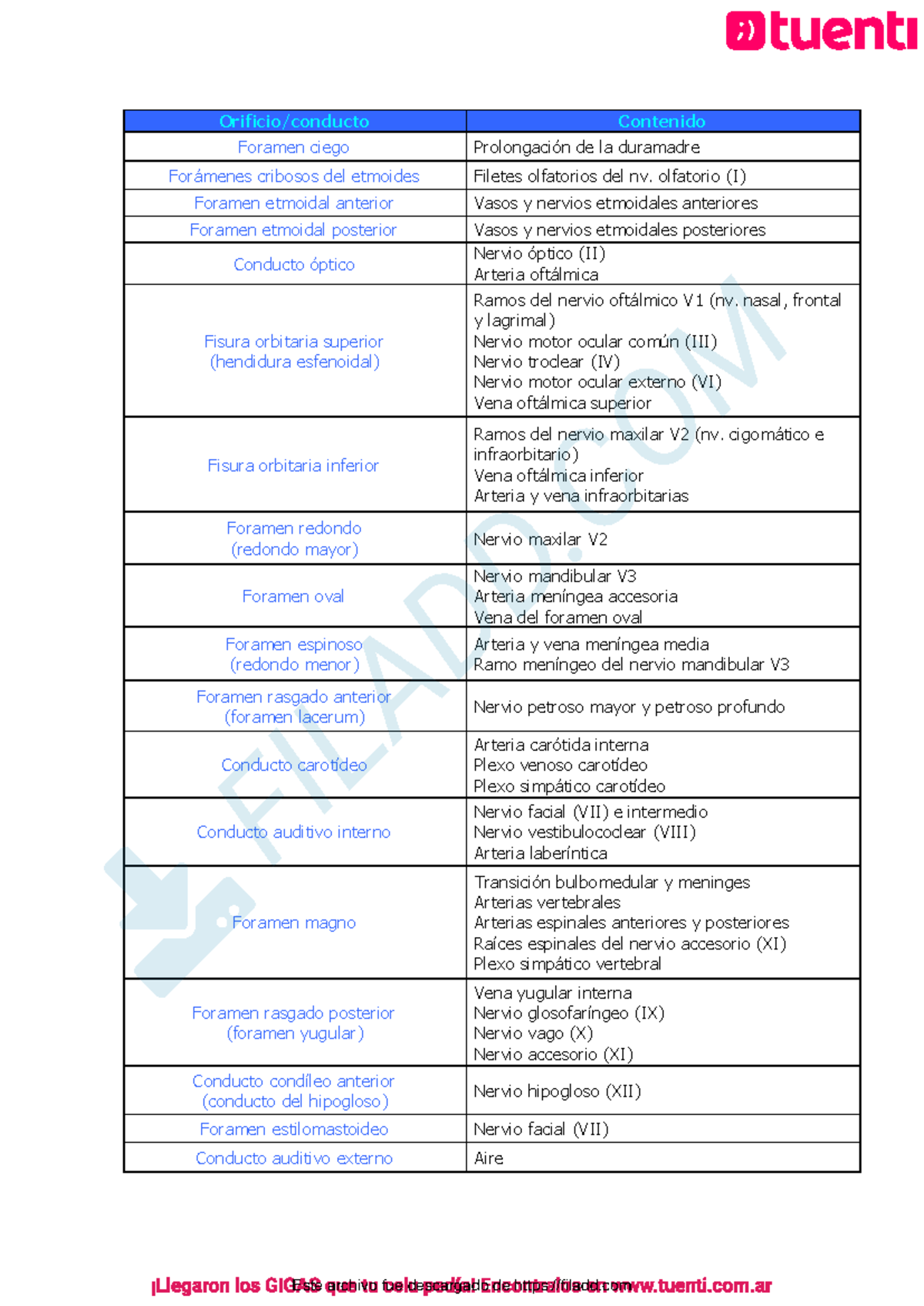 Orificios Del Craneo Y Contenido Orificio Conducto Contenido Foramen