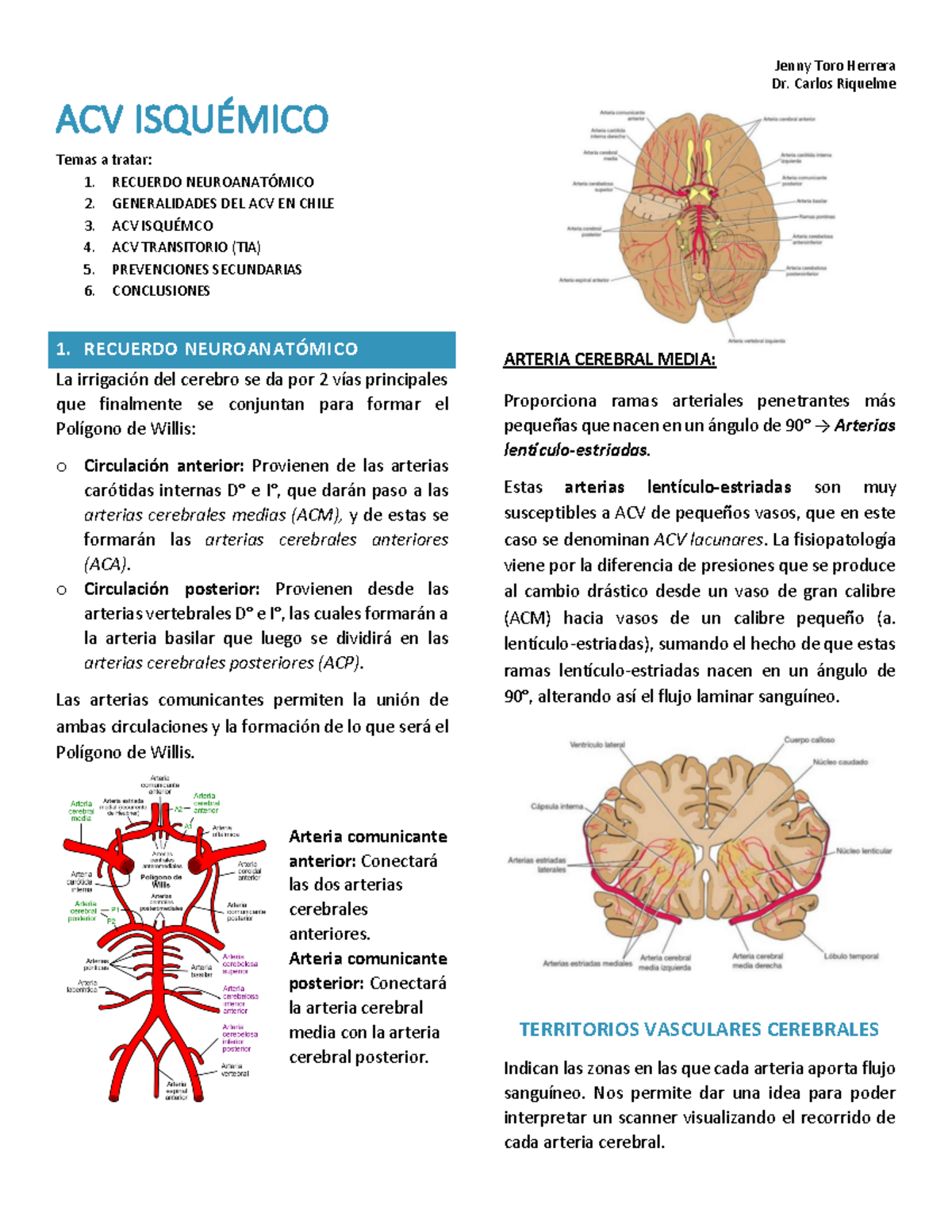 ACV IsquéMICO - Dr. Carlos Riquelme ACV ISQUÉMICO Temas a tratar: 1. RECUERDO NEUROANATÓMICO 2 ...