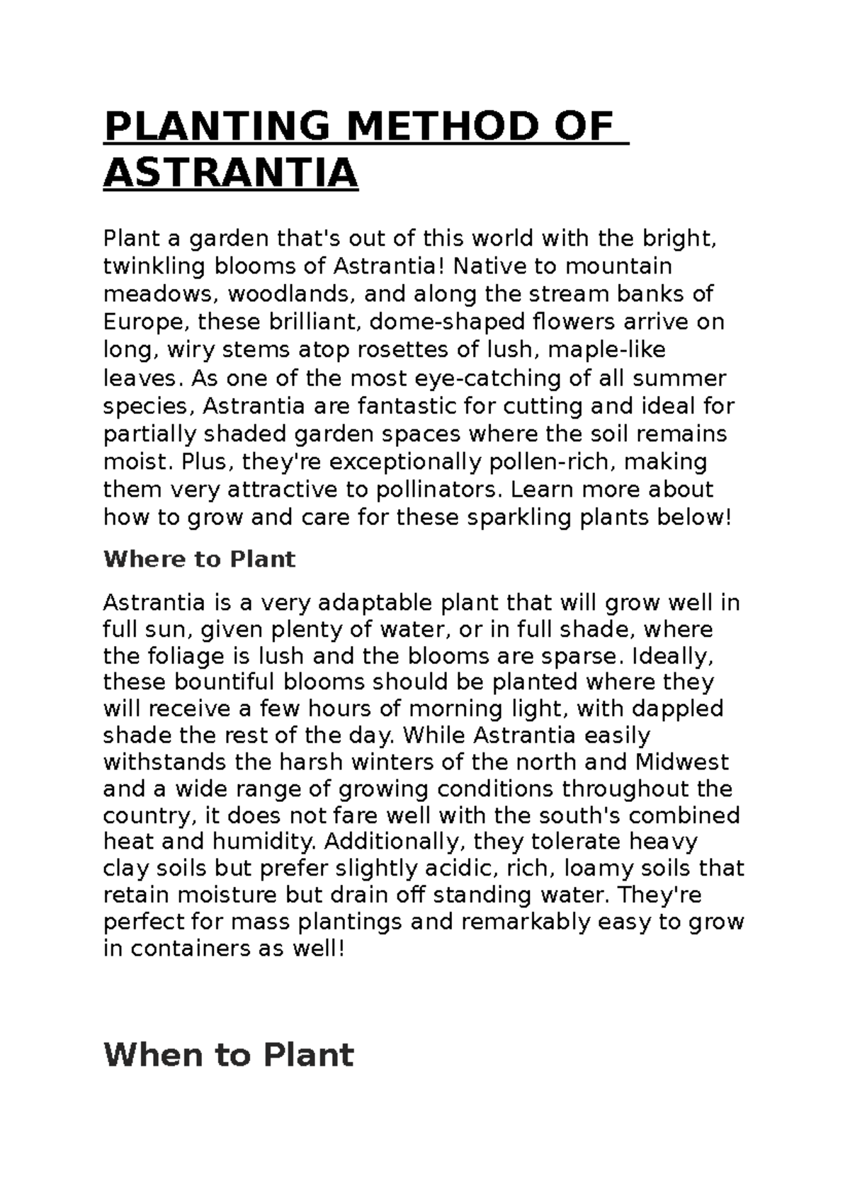 Planting Method OF Astrantia 32 - PLANTING METHOD OF ASTRANTIA Plant a ...