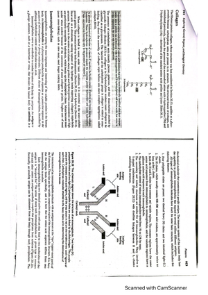 Lesson-4-Microscopy - microscopy - CLINICAL BACTERIOLOGY - LECTURE ...