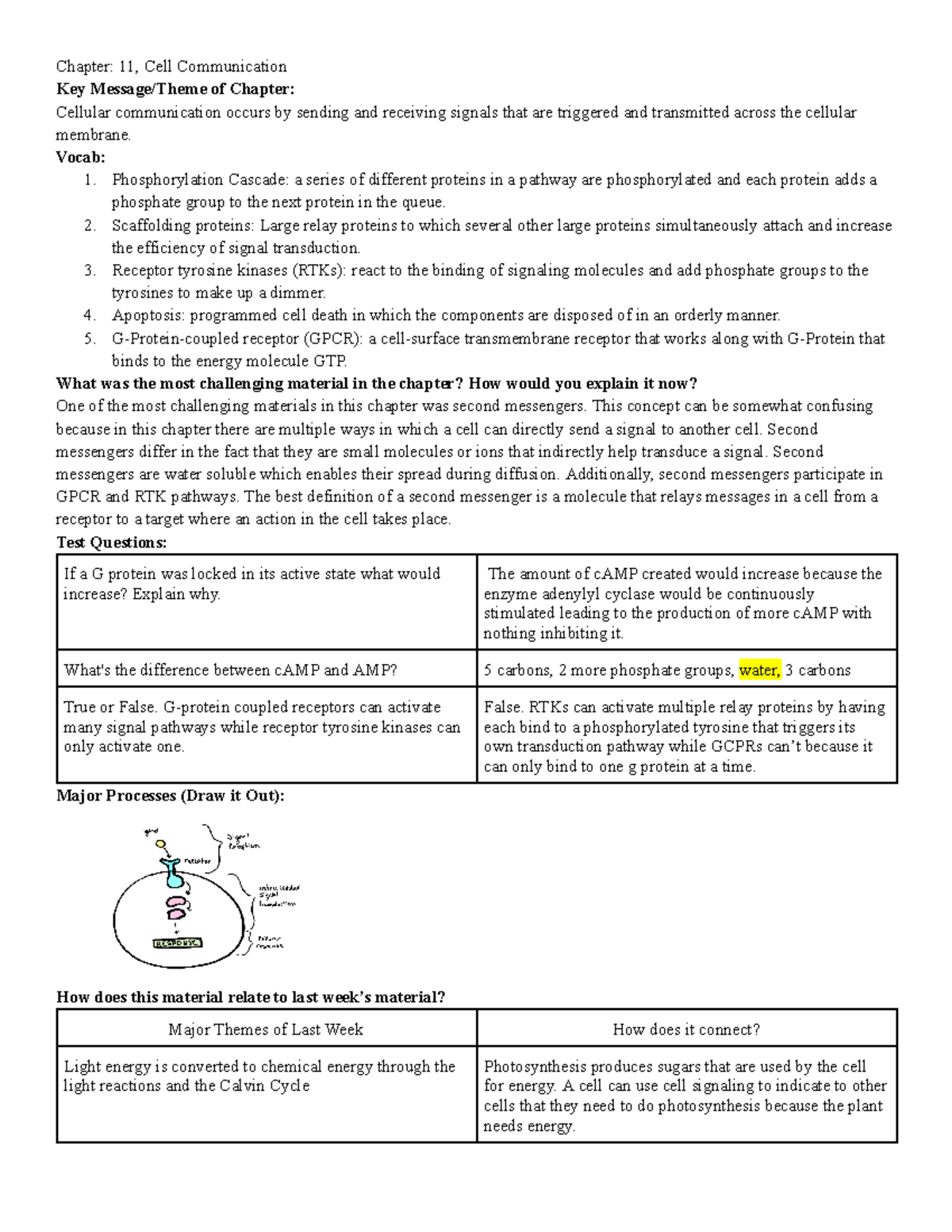 Chapter 11 Study Guide - Chapter: 11, Cell Communication Key Message/Theme of Chapter: Cellular ...