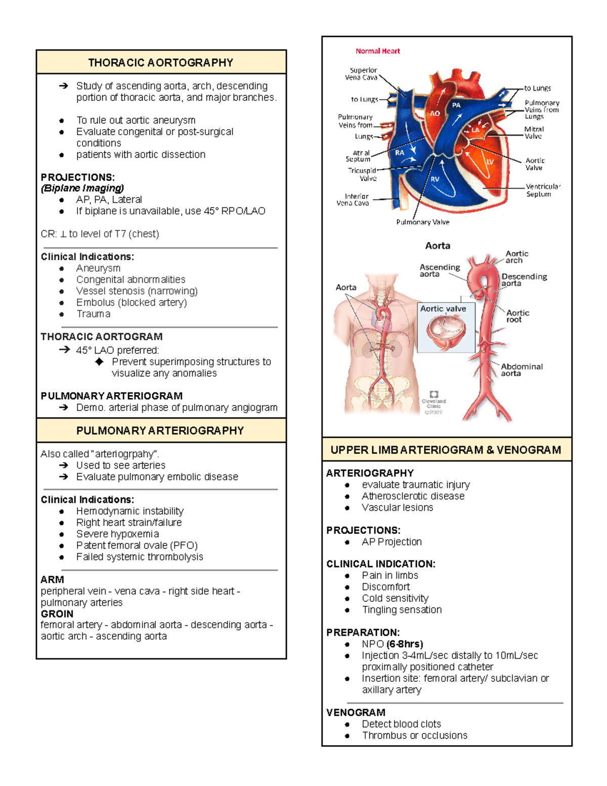 P2-IR- Notes - Interventional Radiography - THORACIC AORTOGRAPHY Study ...