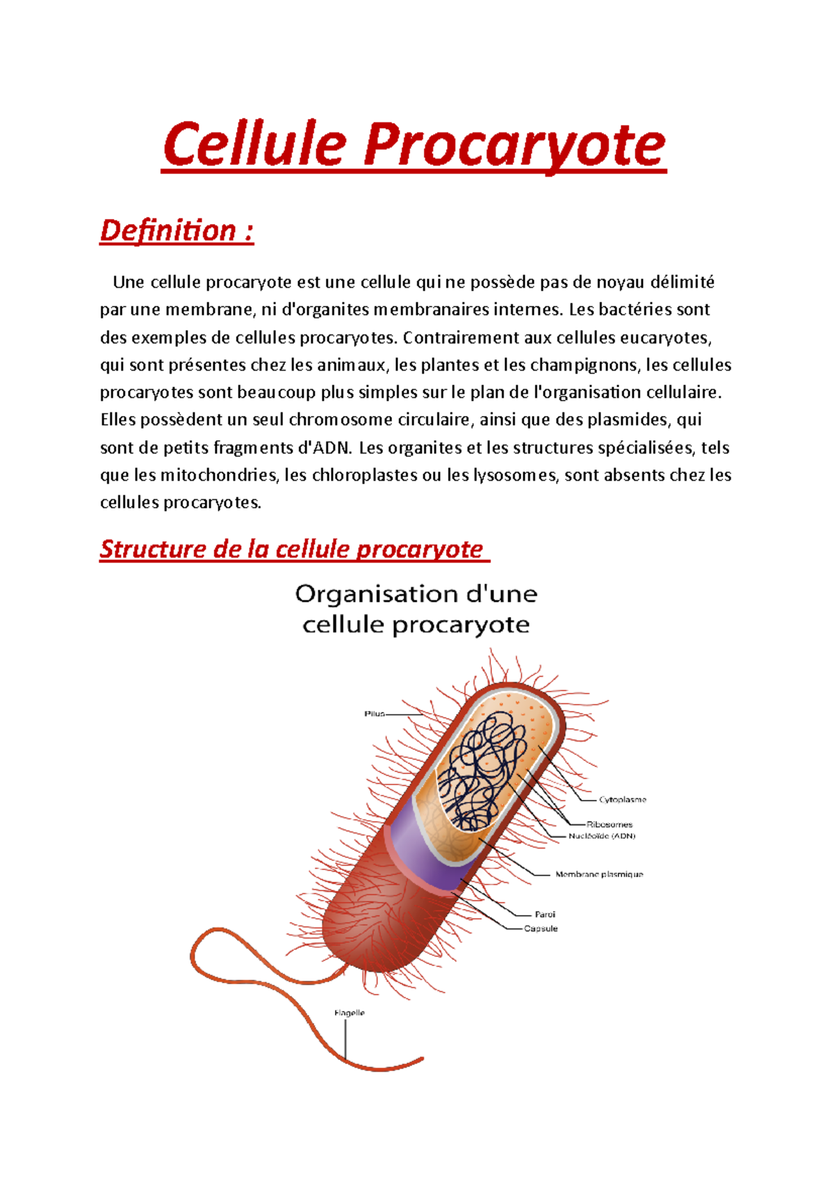 La cellule procaryote - Cellule Procaryote Definition : Une cellule ...