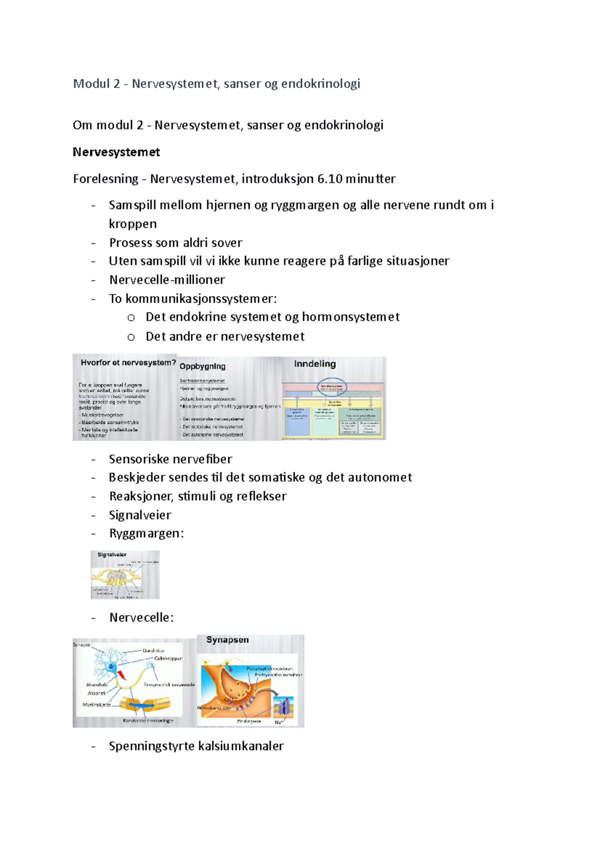 Modul 2 - Nervesystemet, sanser og endokrinologi - 0: Uten sansene ...