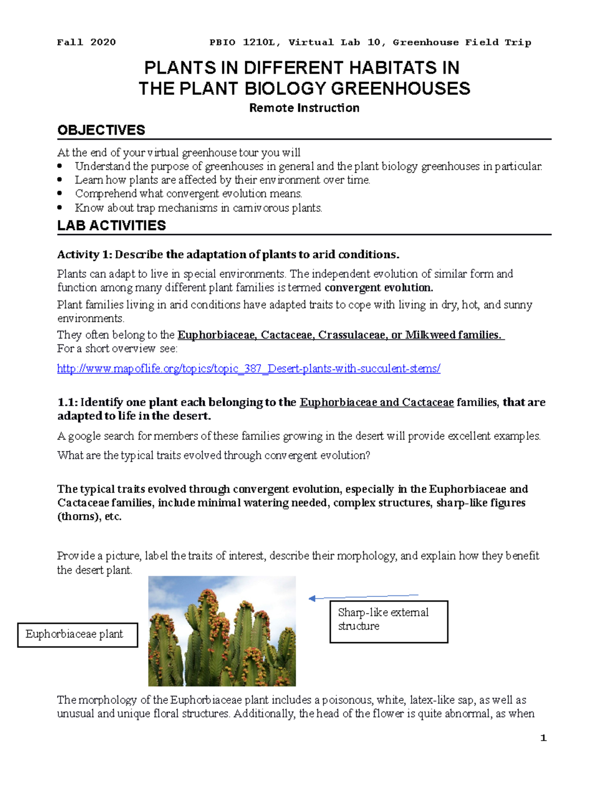 Lab 10 - Greenhouse Lab Activities RI Fall 2020 - James Bruno - PLANTS ...