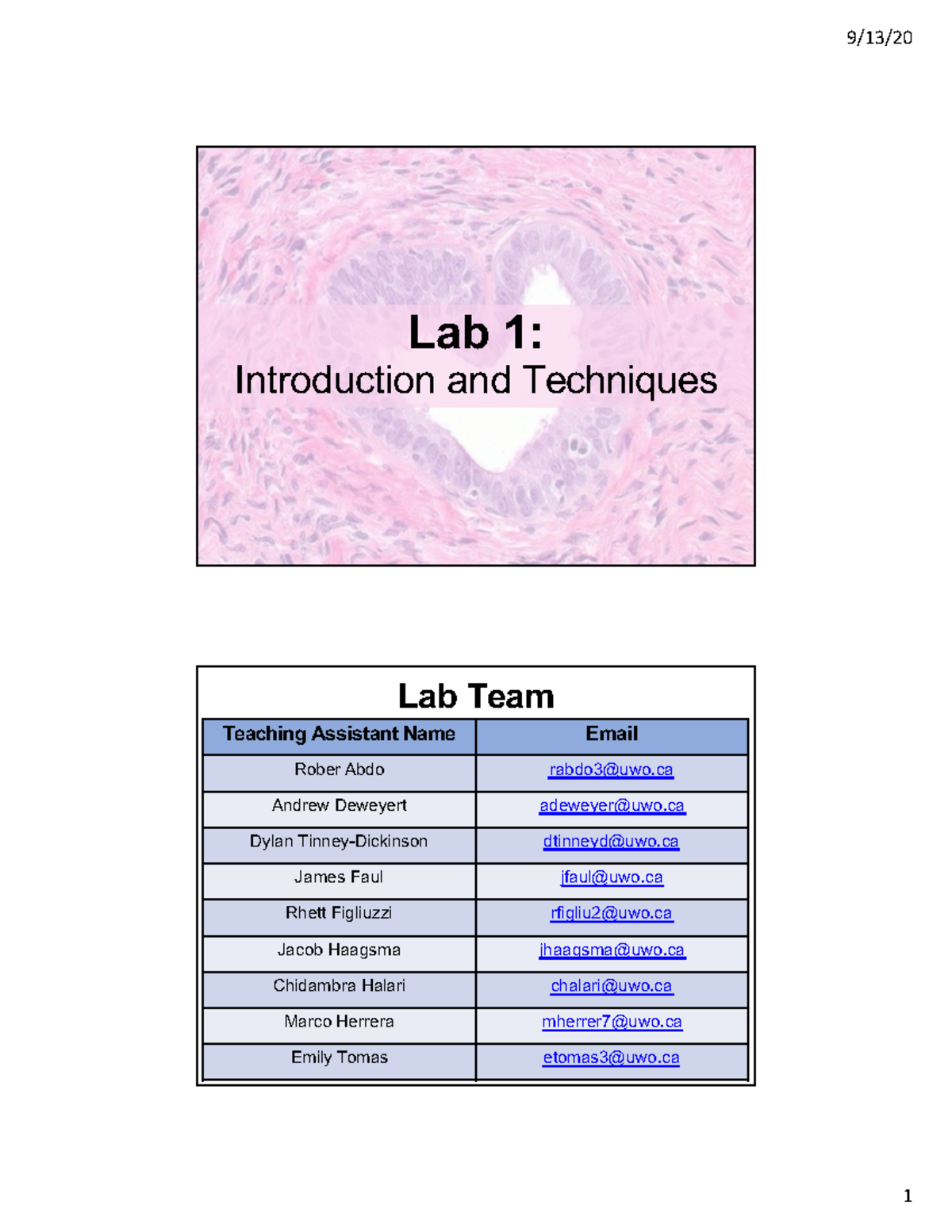 Lab 1 - Introduction and Techniques - Teaching Introduction andDylan ...