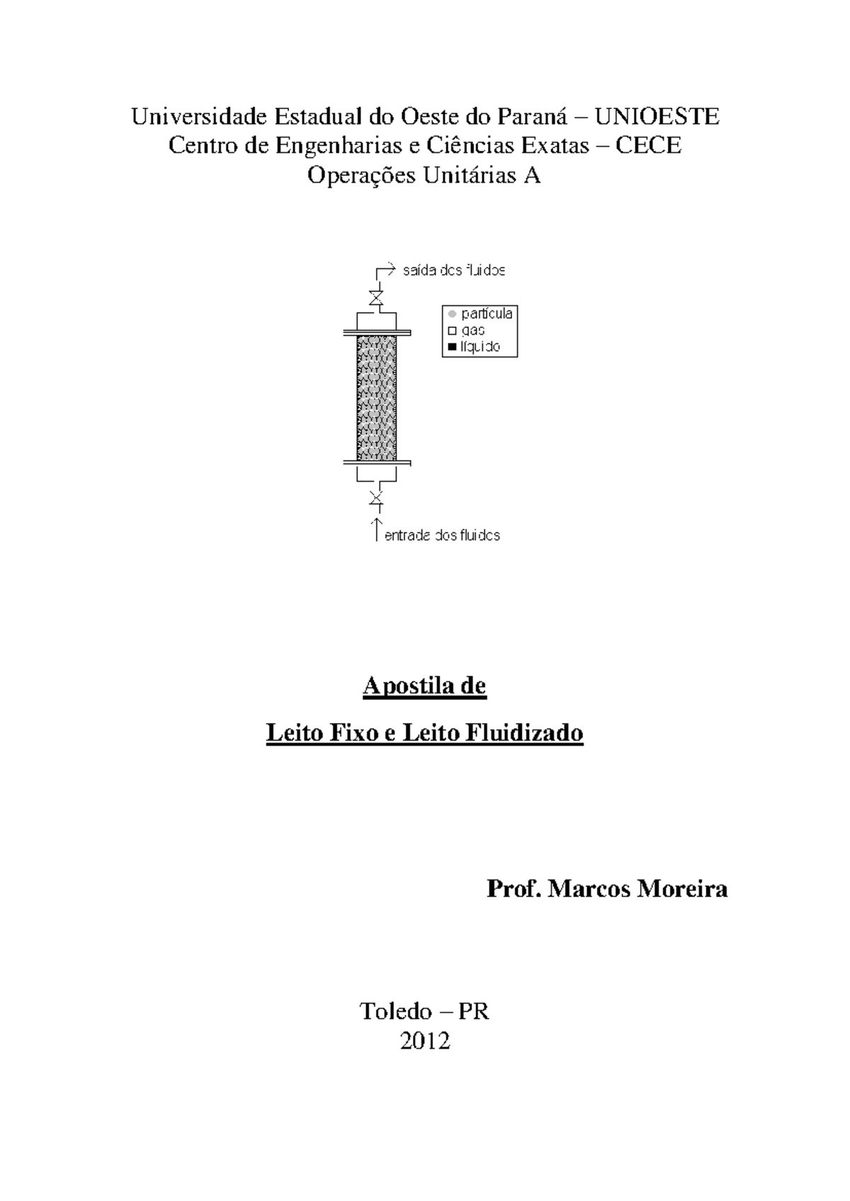Leito fixo e Fluidizado - Universidade Estadual do Oeste do Paraná ...