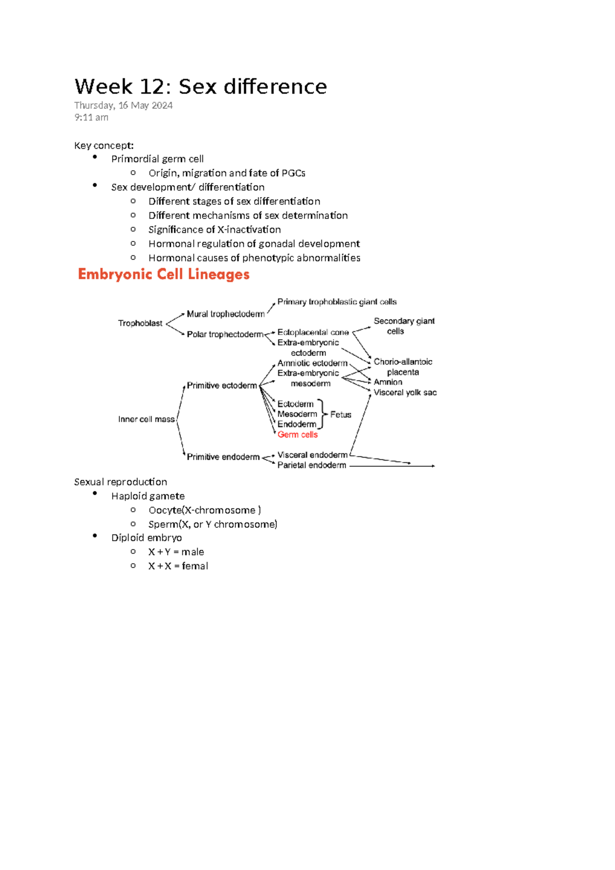 Week 12 Sex Difference Lecture Note For Sex Differentiation Week 12 Sex Difference Thursday