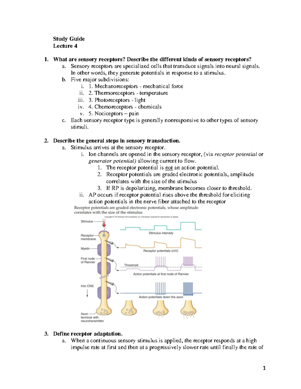 Neurophysiology Study Guide - Study Guide Lecture 4 What are sensory ...