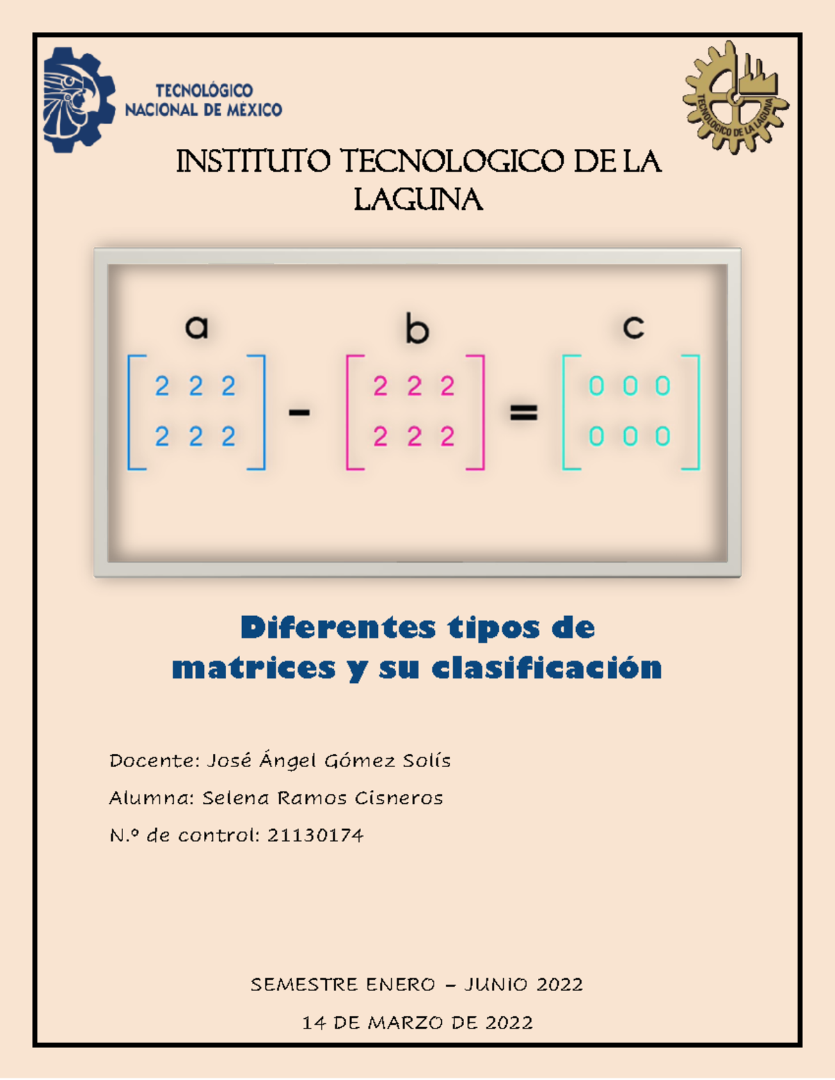 Diferentes tipos de matrices - INSTITUTO TECNOLOGICO DE LA LAGUNA ...