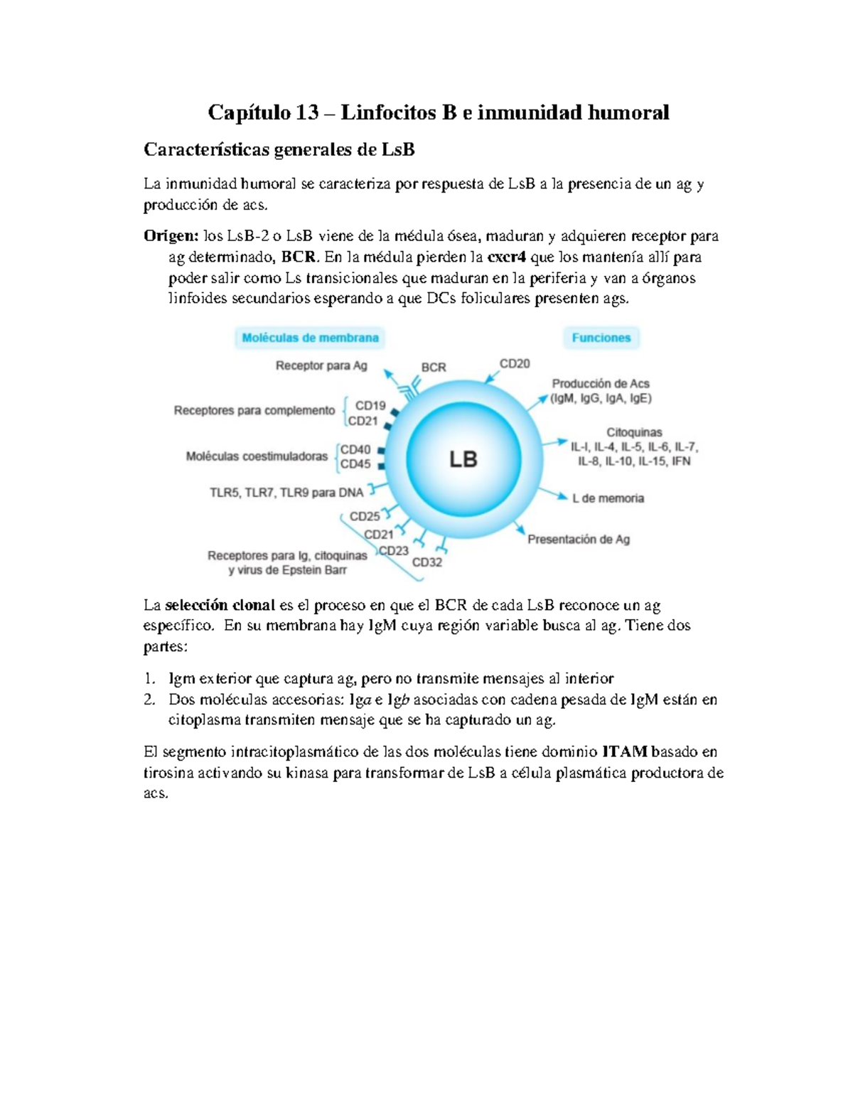 Capitulo 13 Linfocitos B e inmunidad humoral - Capítulo 13 – Linfocitos B e inmunidad humoral ...
