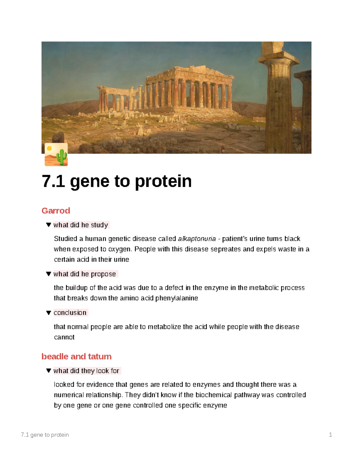 chapter 7.1 gene to protein - Ì 7 gene to protein Garrod what did he ...