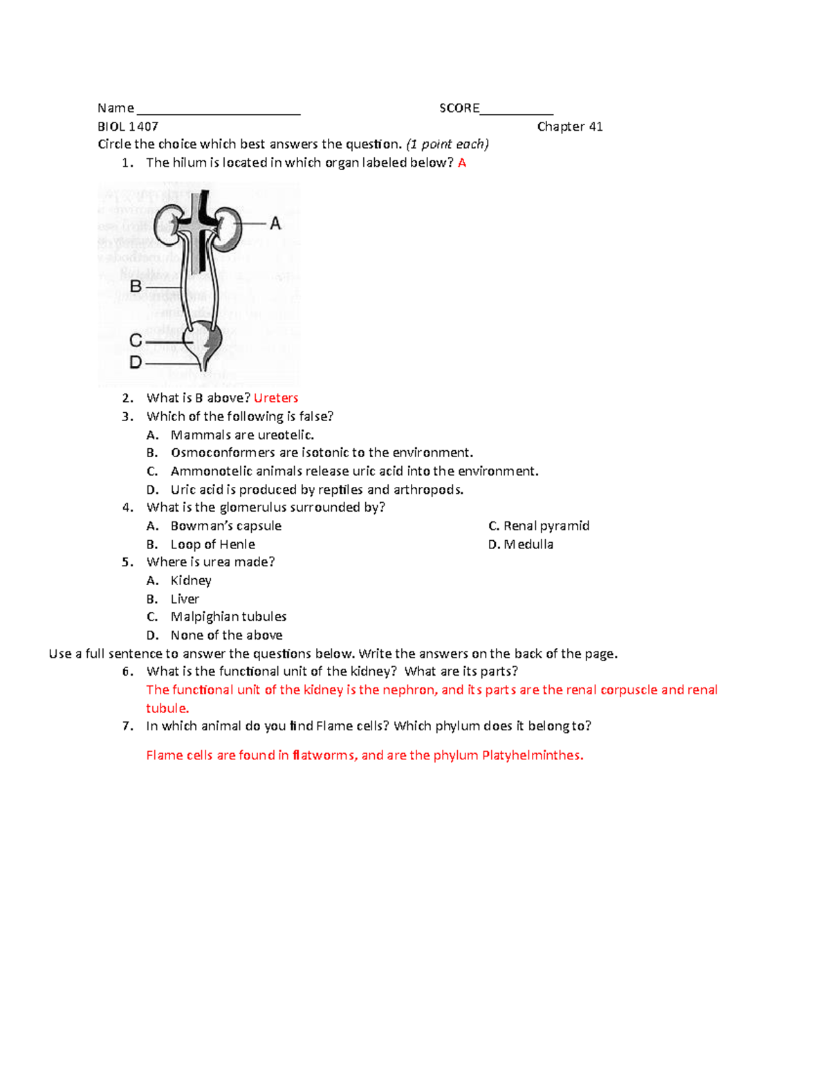 Excretory quiz - Name ______________________ SCORE__________ BIOL 1407 ...